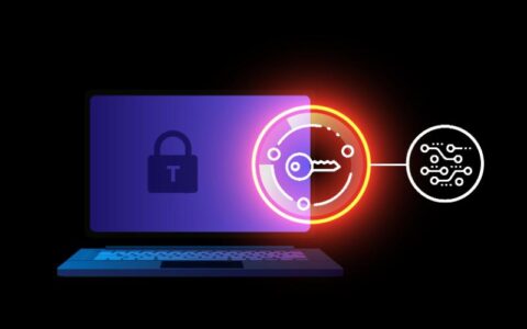 Techvera: Proactive IT & Cybersecurity Solutions for Growing Businesses