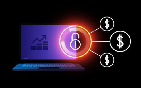 Techvera: Proactive IT & Cybersecurity Solutions for Growing Businesses