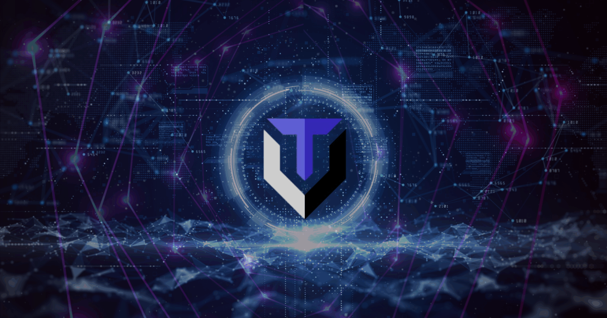 Techvera: Proactive IT & Cybersecurity Solutions for Growing Businesses